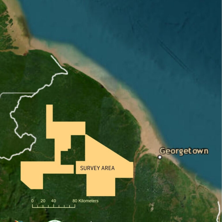 Mineral Tenure – GGMC